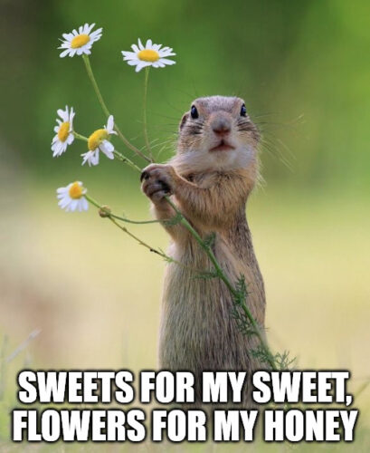 30 Funny Love Memes to Spice Up Your Relationship