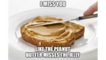 30 Funny I Miss You Memes
