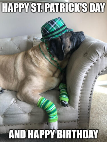 40 Ways to Say Happy Birthday on St. Patrick’s Day