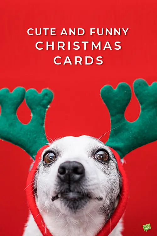 25+ Cute and Funny Christmas Cards for an Uplifting Season